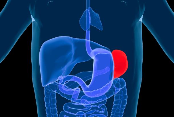 Dalak Neden Şişer? | Tozlu Mikrofon
