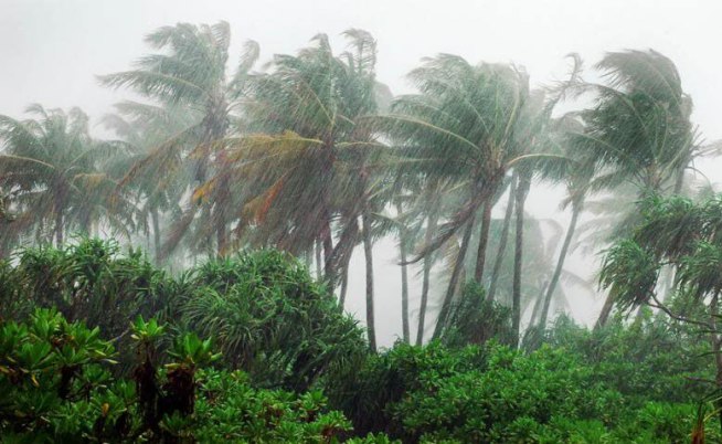 Muson İklimi Nedir? Özellikleri Nelerdir? | Tozlu Mikrofon
