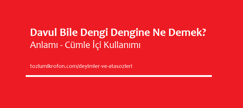 Davul Bile Dengi Dengine Çalar Ne Demek? | Tozlu Mikrofon