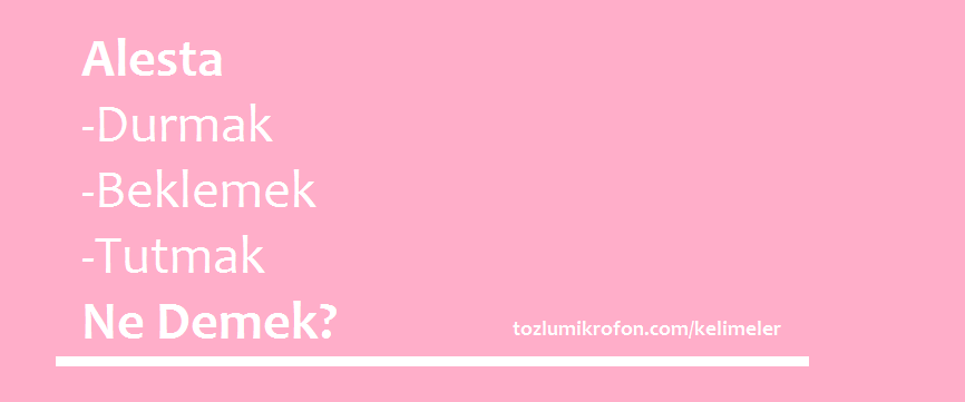 Alesta Durmak – Beklemek – Tutmak Nedir? Ne Demek? Cümle İçi Kullanımı ...