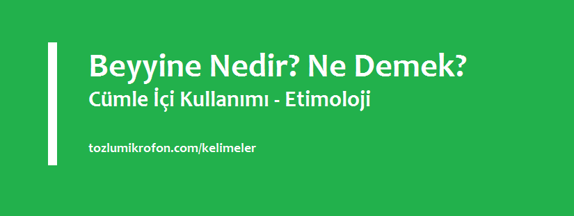 Beyyine Nedir? Ne Demek? Cümle İçi Kullanımı ve Kökeni | Tozlu Mikrofon