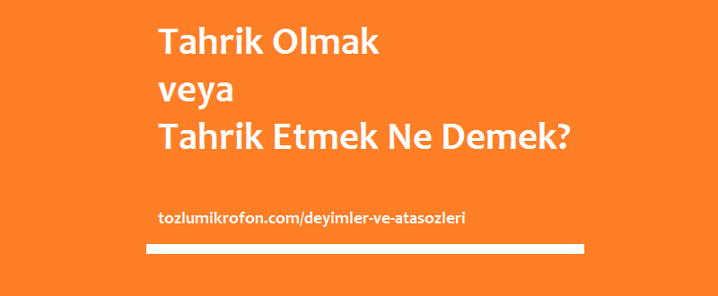 Tahrik Olmak veya Tahrik Etmek Ne Demek? | Tozlu Mikrofon