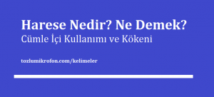 Harese Nedir? Ne Demek? Cümle İçi Kullanımı ve Kökeni? | Tozlu Mikrofon
