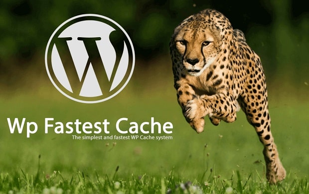 WP Fastest Cache Nasıl Kurulur? | Tozlu Mikrofon