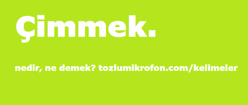 Çimmek Ne Demek? Kökeni? Cümle İçi Kullanımı? | Tozlu Mikrofon