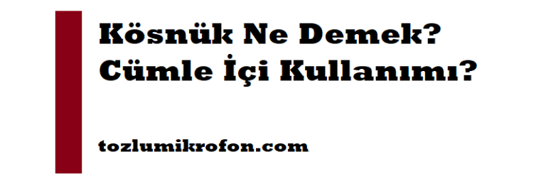 Kösnük Nedir? Ne Demek? Cümle İçi Kullanımı? | Tozlu Mikrofon