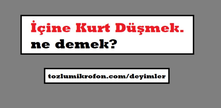 İçine Kurt Düşmek Deyiminin Anlamı nedir? | Tozlu Mikrofon