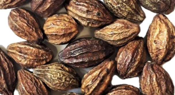 Sarı Halile Nedir? Nelere İyi Gelir? | Tozlu Mikrofon